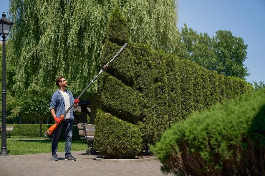 Hedge And Tree Trimming Made Easy: Simple Techniques For A Stunning ...